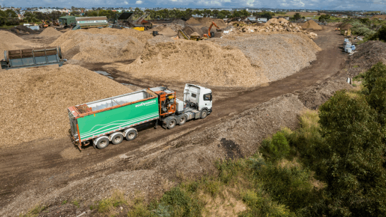 The RCH Meerkat Enclosure Soil Blowing Project | ecoDynamics