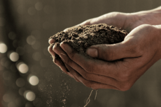 Garden Soil • Garden Soil Delivery | ecoDynamics