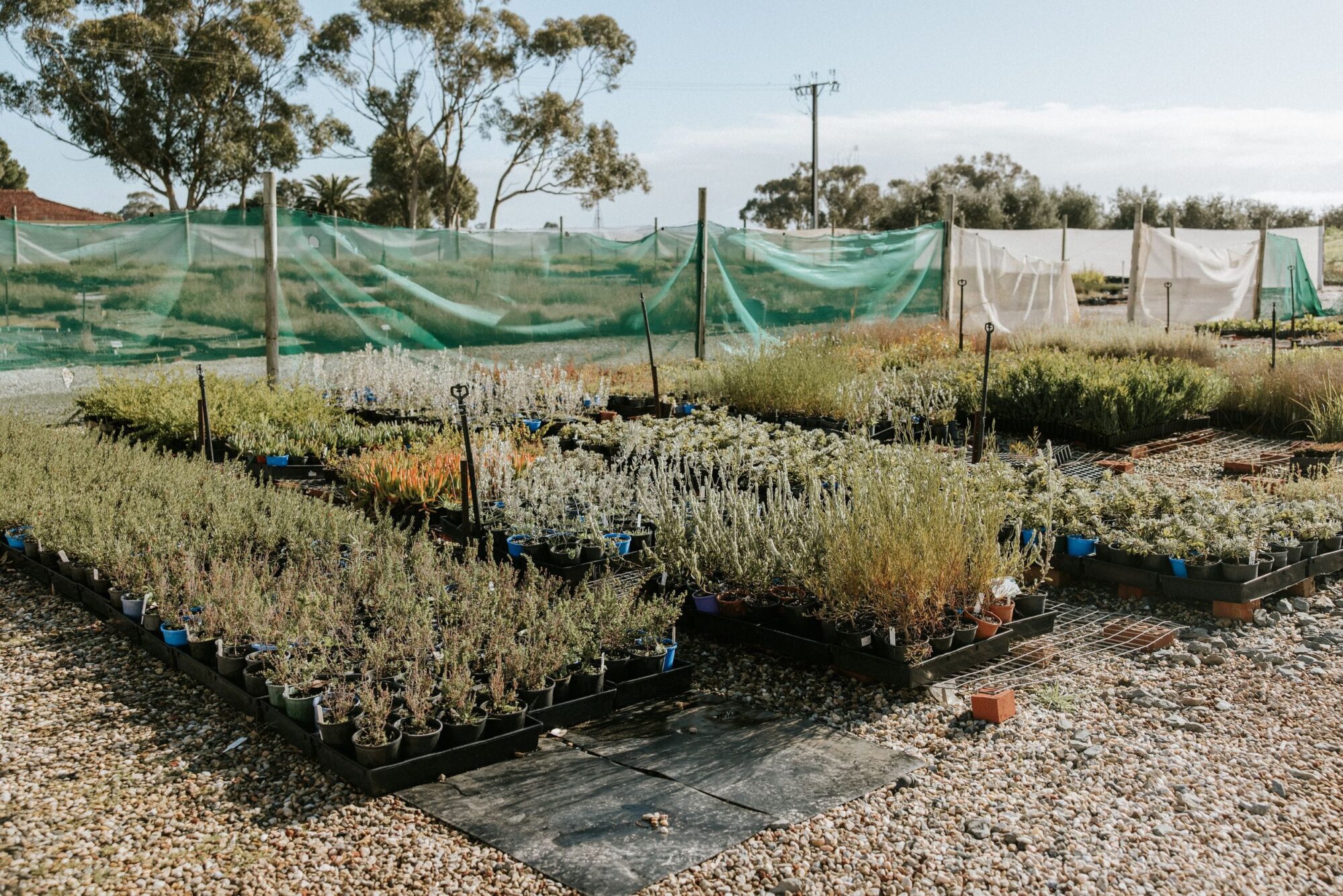 Is the pursuit of provenance a case of planning to fail? | ecoDynamics