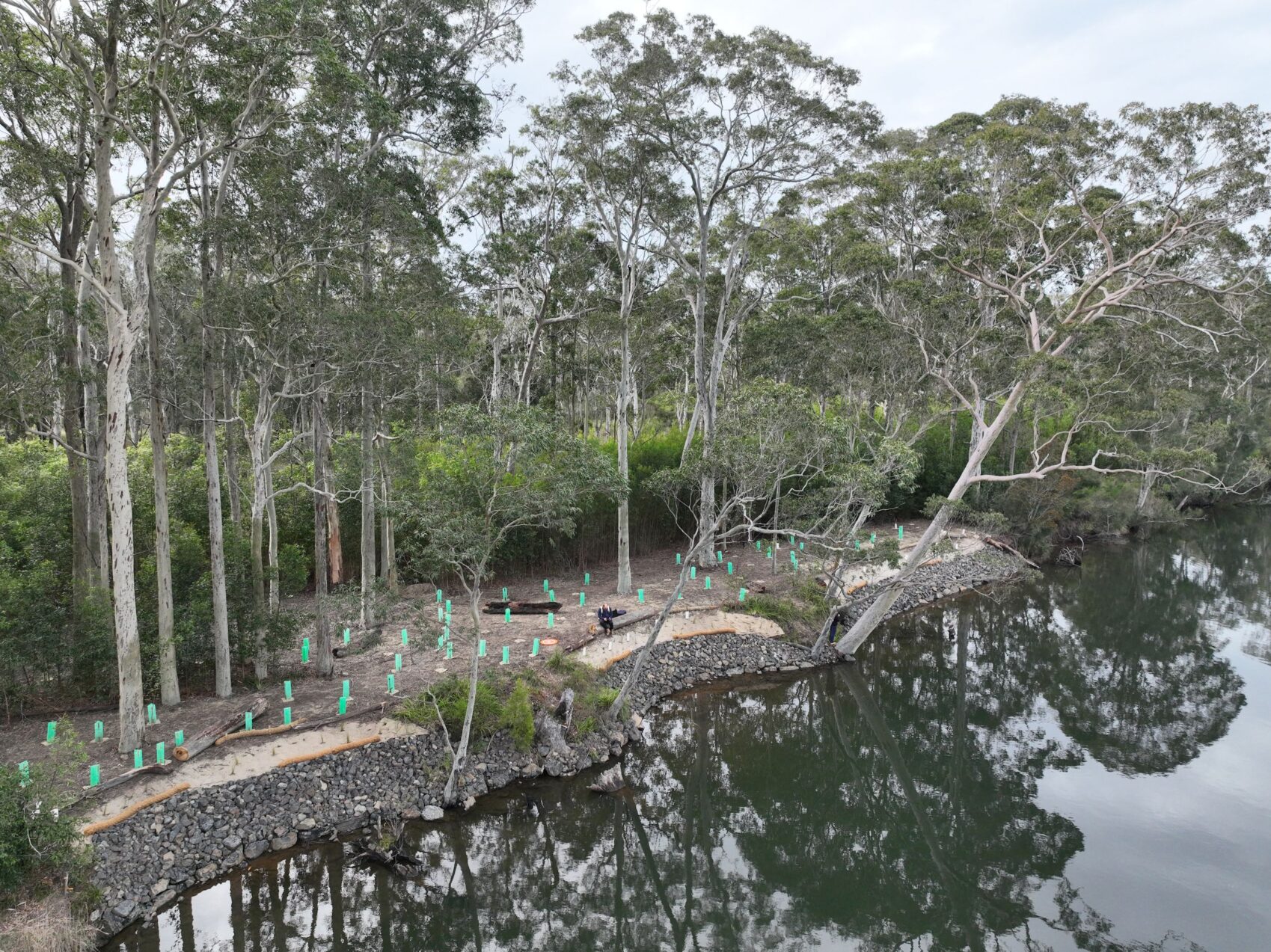 Wandandian Creek Project | ecoDynamics | Case Study