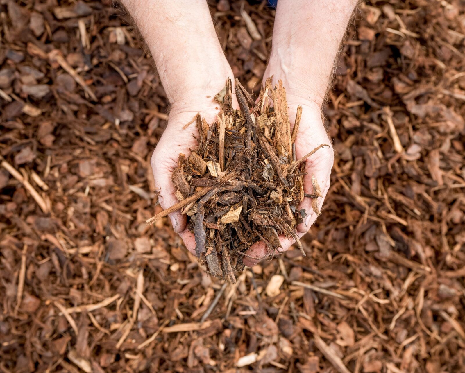 Mossrock Mulch • Softfall • Recycled Mulch | ecoDynamics