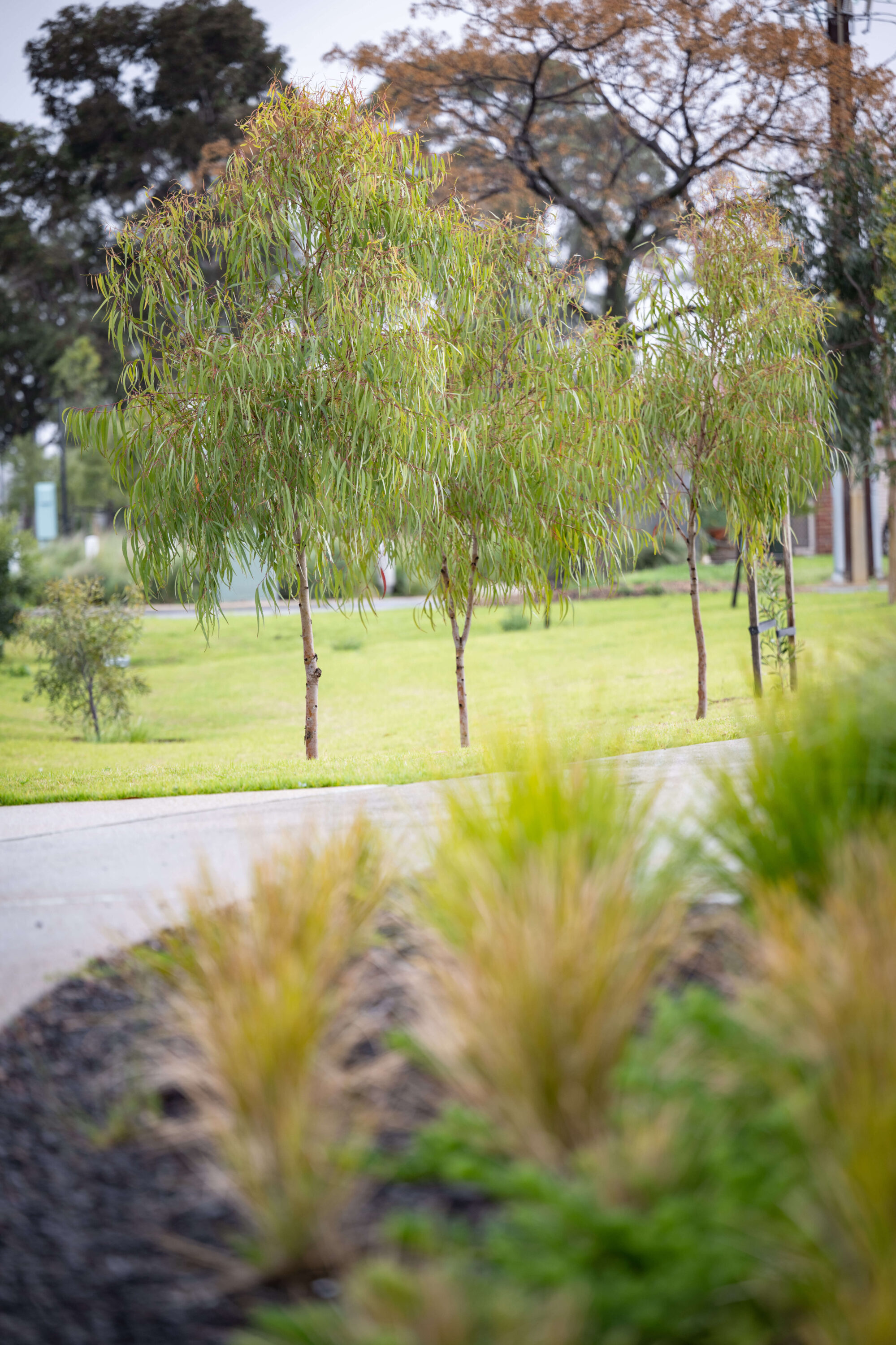 Project Case Study | ecoDynamics | SA | Regency to Pym