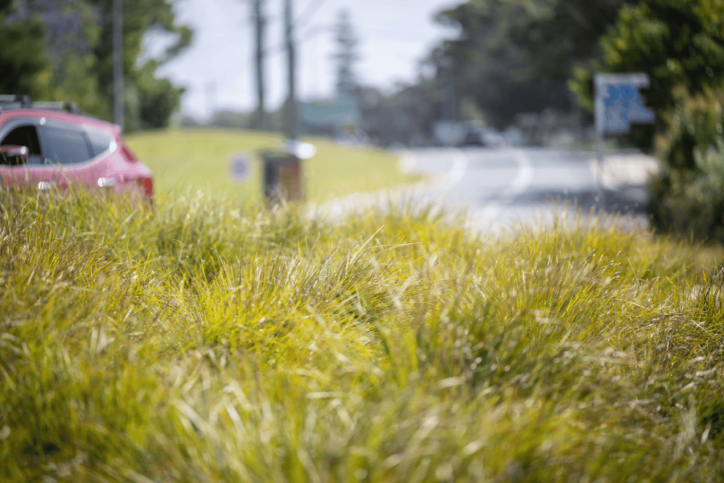 Burrill Lake Bridge Project | ecoDynamics | Case Study