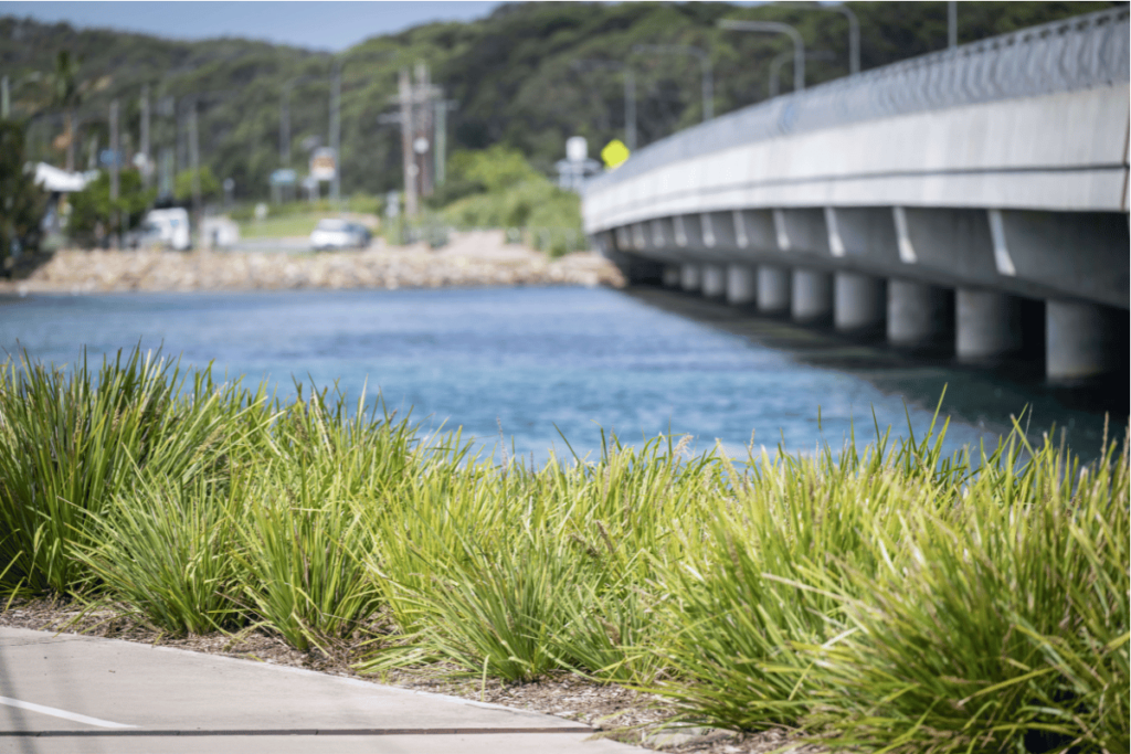 Burrill Lake Bridge Project | ecoDynamics | Case Study