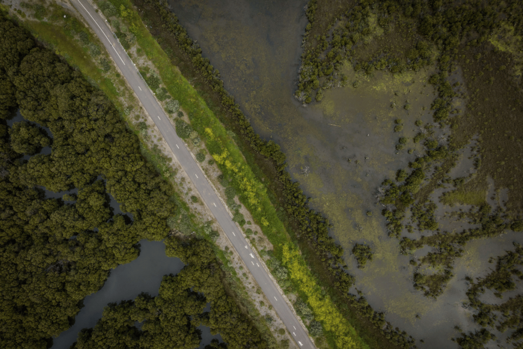 Northern Connector | ecoDynamics | Case Study