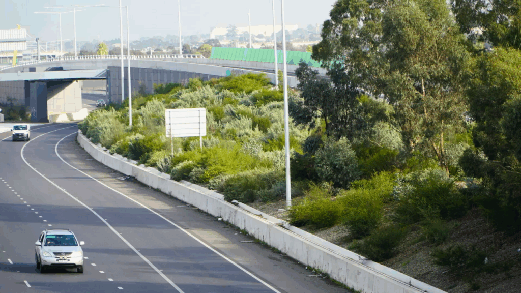 M80 Ring Road Upgrade | ecoDynamics | Case Study