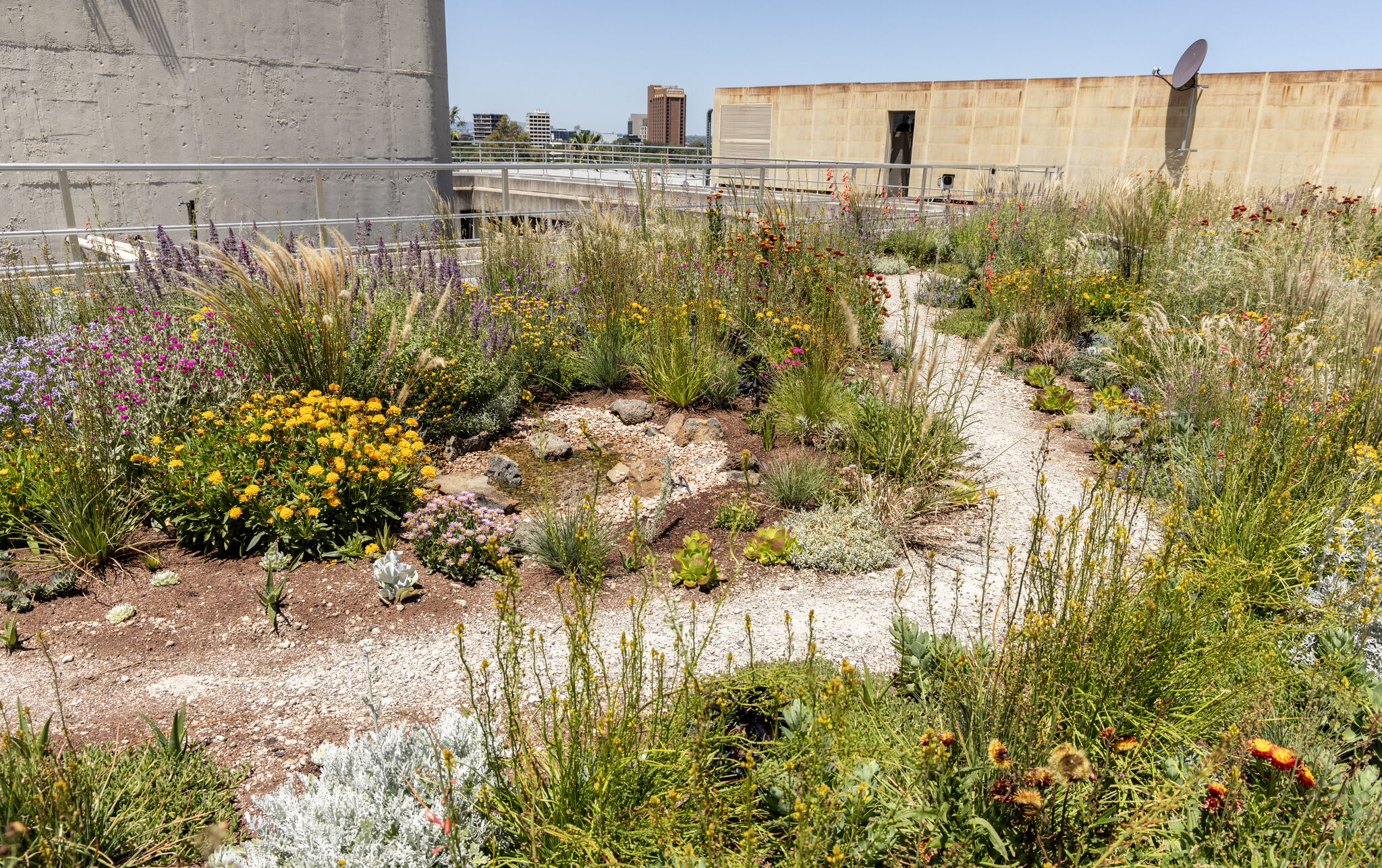 Green Our Rooftop at Old Treasury Building Blowing Project | ecoDynamics
