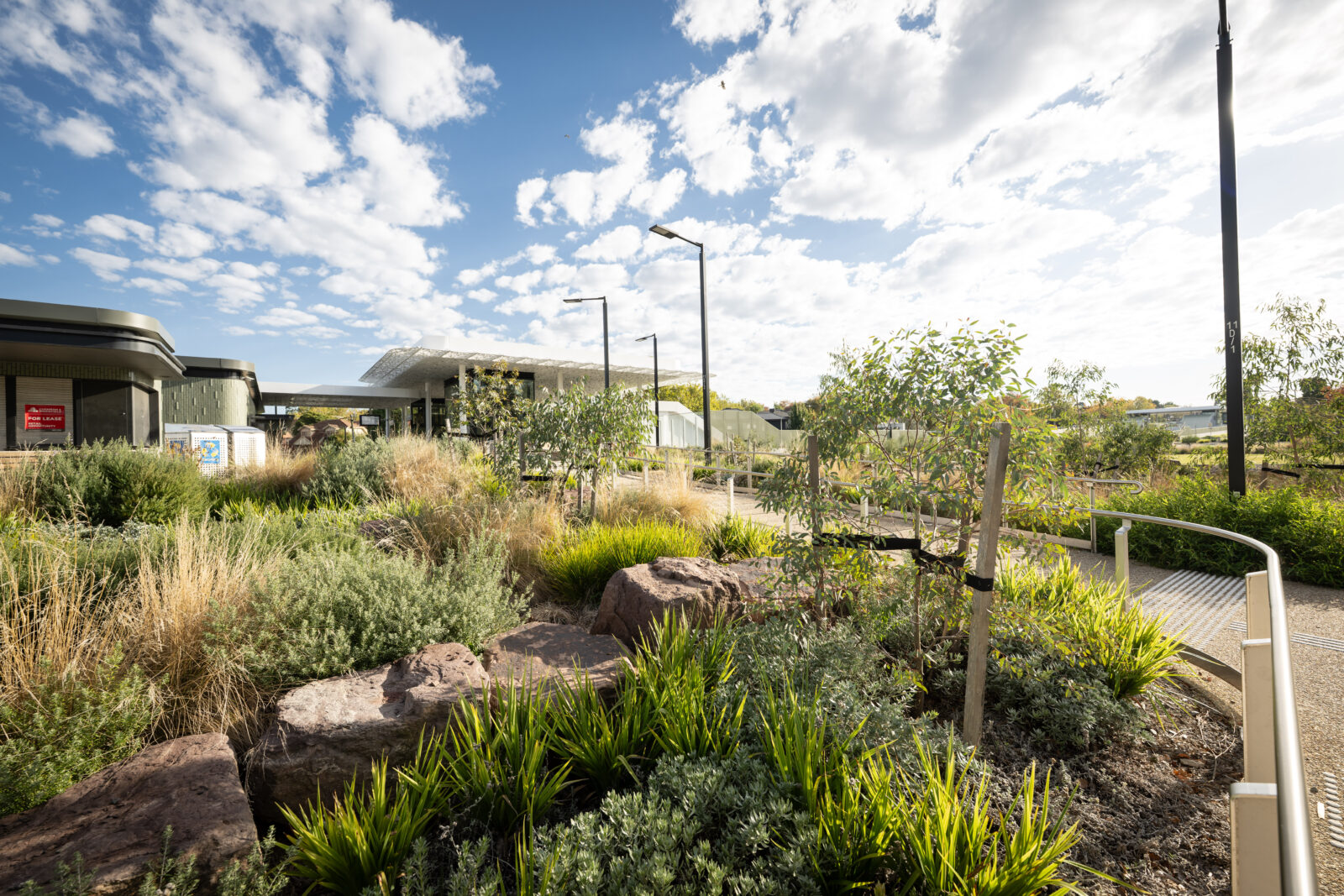 Find our Vic and SA Nurseries plants on Evergreen Connect | ecoDynamics