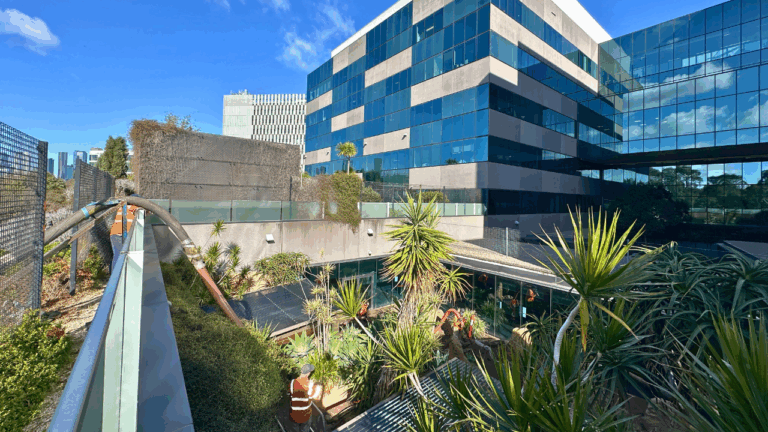 The RCH Meerkat Enclosure Soil Blowing Project | ecoDynamics