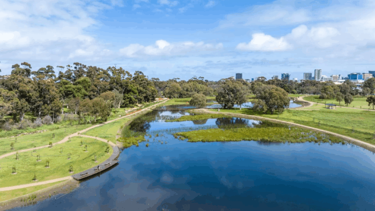 Landscape Services • Landscape Construction | ecoDynamics